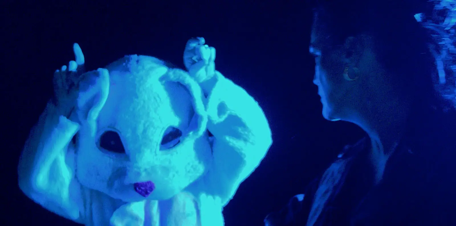 Critical Rabbit Theory Featured, Reviews Film Threat – Filmibee.com