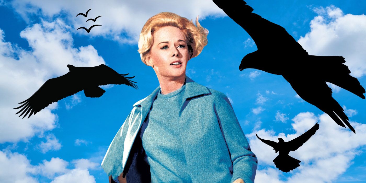 ‘The Birds’ — The True Story Behind the Making of the Hitchcock Classic ...