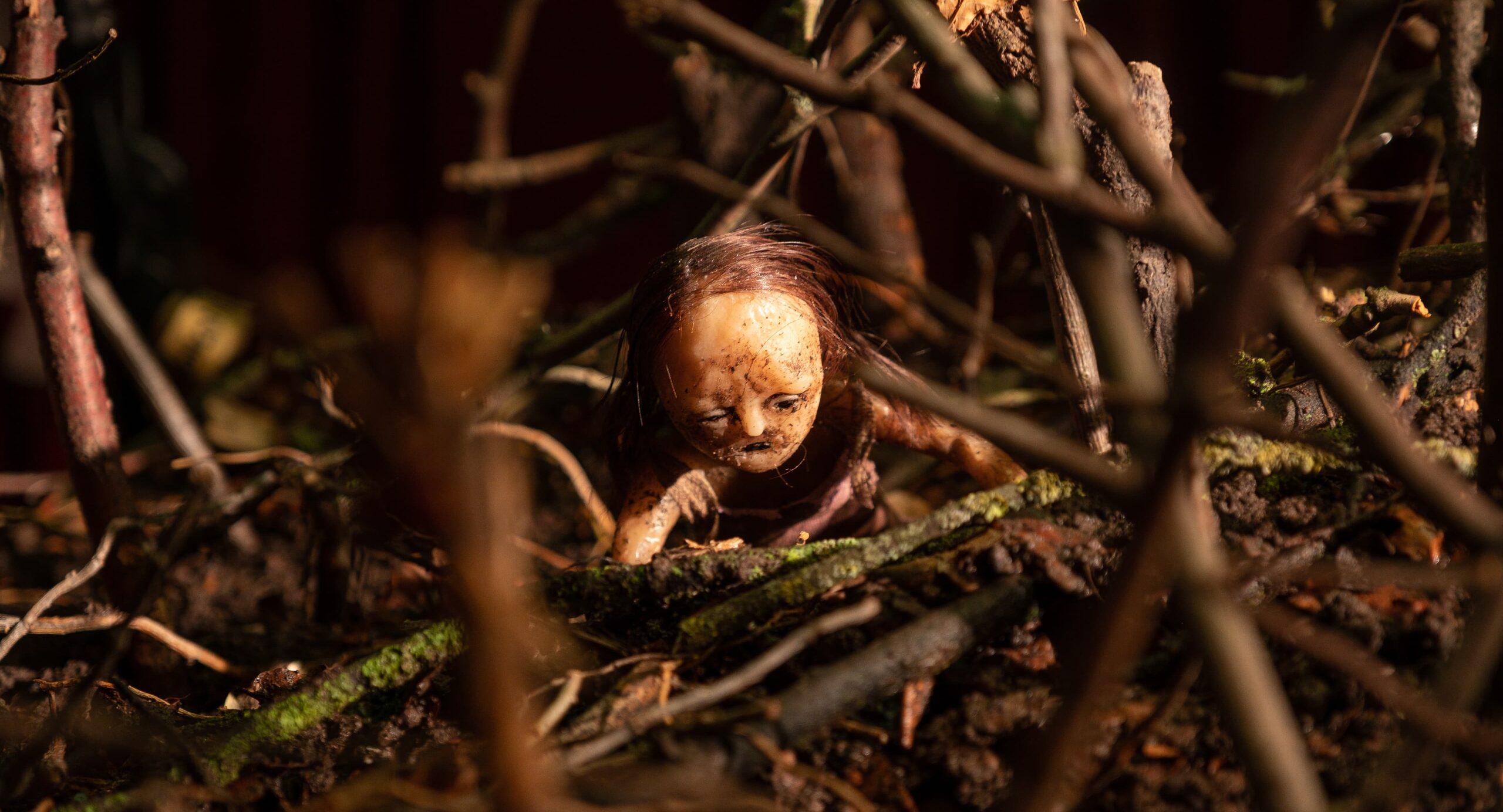 Stopmotion Review: A Terrifying Live-Action and Animated Horror ...