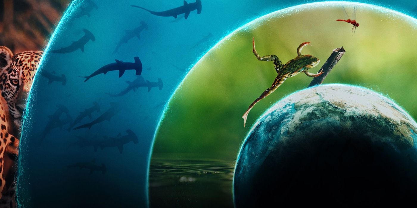 Our Living World Producer on His New Netflix Nature Series – Filmibee.com