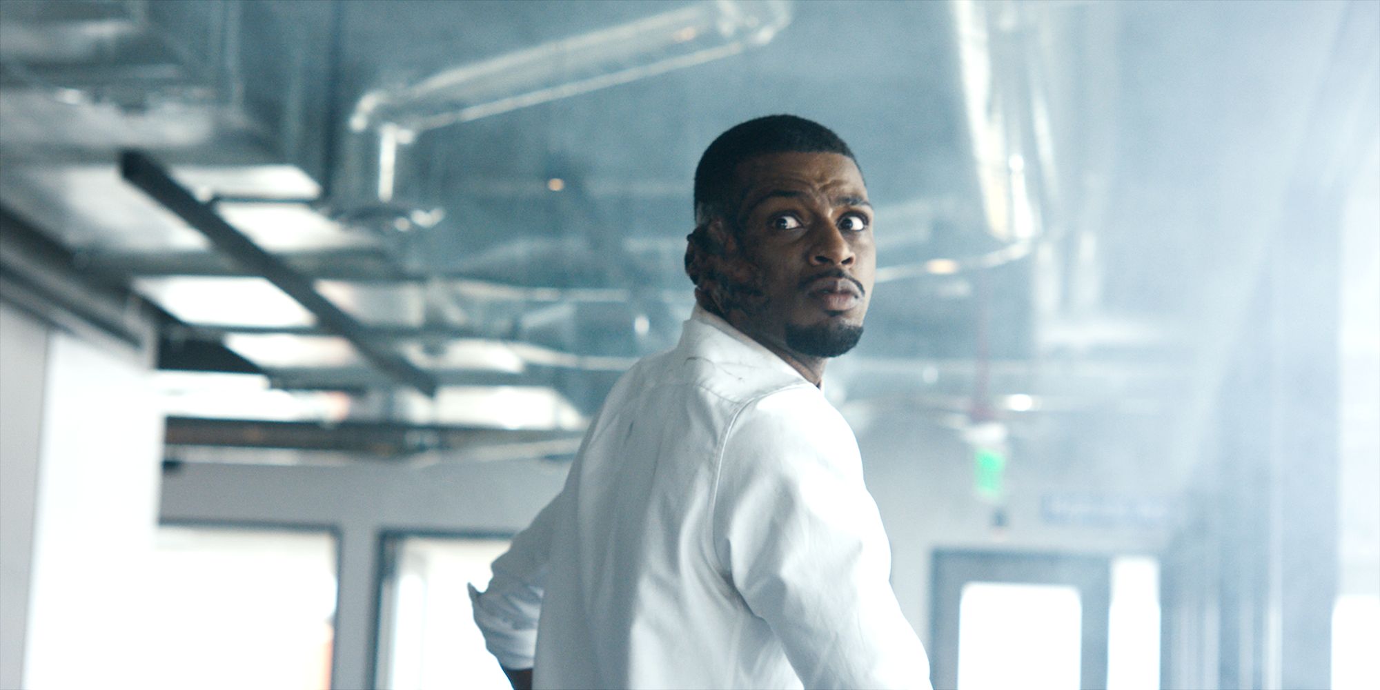 Russell Goldman and Jamie Lee Curtis Short Was Inspired by ‘Cronenberg ...