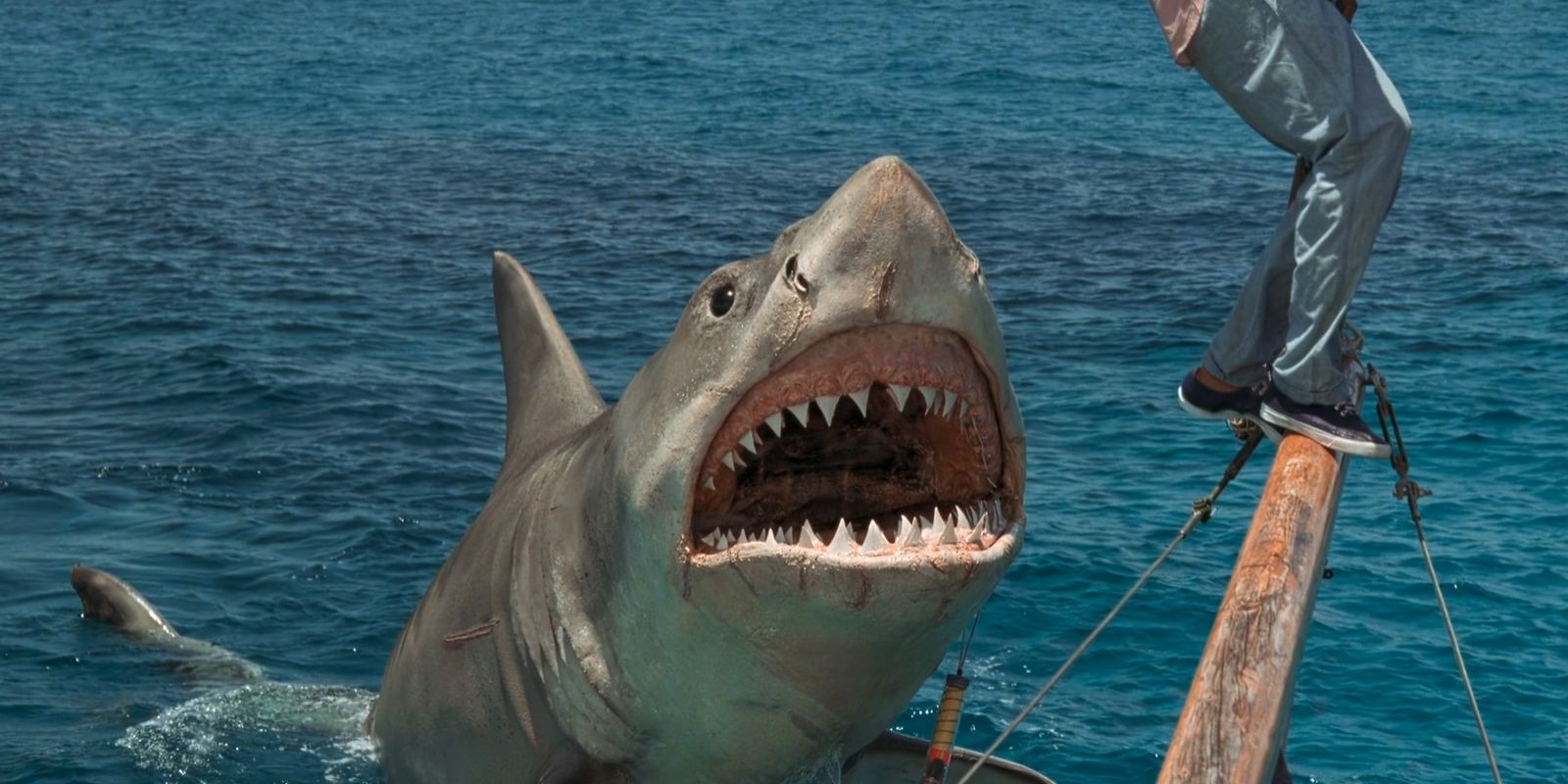 The Worst Jaws Movie Oddly Has the Most Terrifying Scene in the Franchise – Filmibee.com